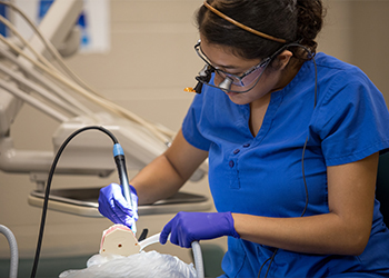 WKU Elizabethtown – Fort Knox | Western Kentucky University